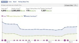 Is There a Difference Between Page Views and Page Reach?